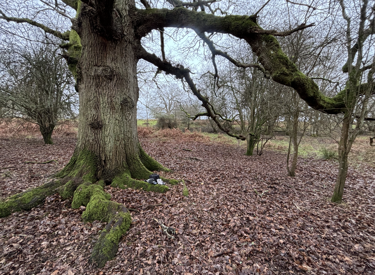 TRIALING OUT IN REAL LIFE